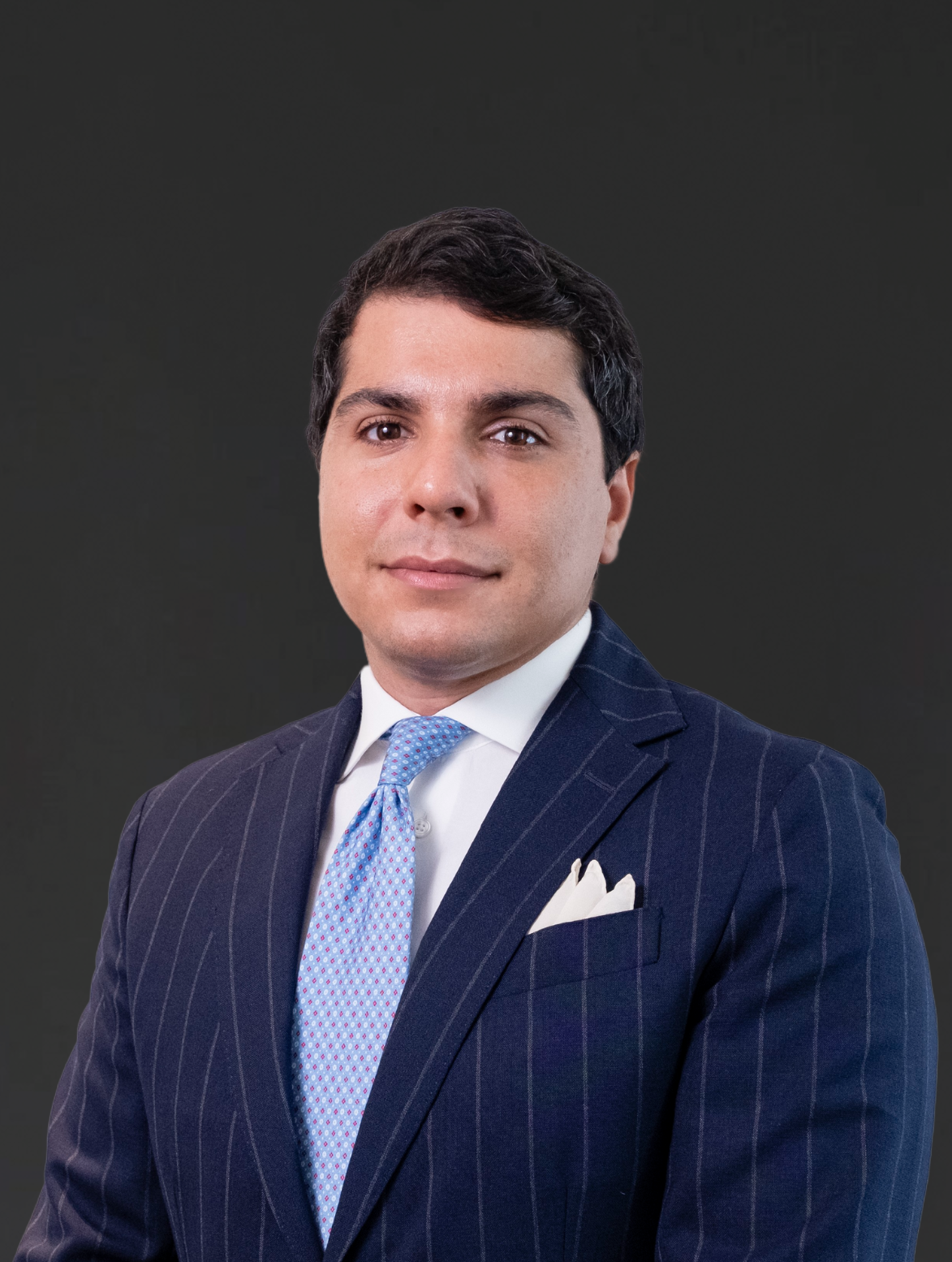 Alberto Gandini - ECOVIS STLex